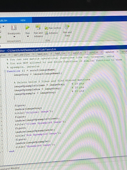 Solved UBLISH VIEW D Run Section Breakpoints Run Run and | Chegg.com