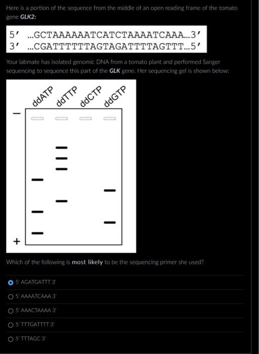 Solved You want to amplify the coding sequence of gene H | Chegg.com