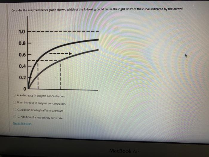 Solved Consider the enzyme kinetics graph shown. Which of | Chegg.com