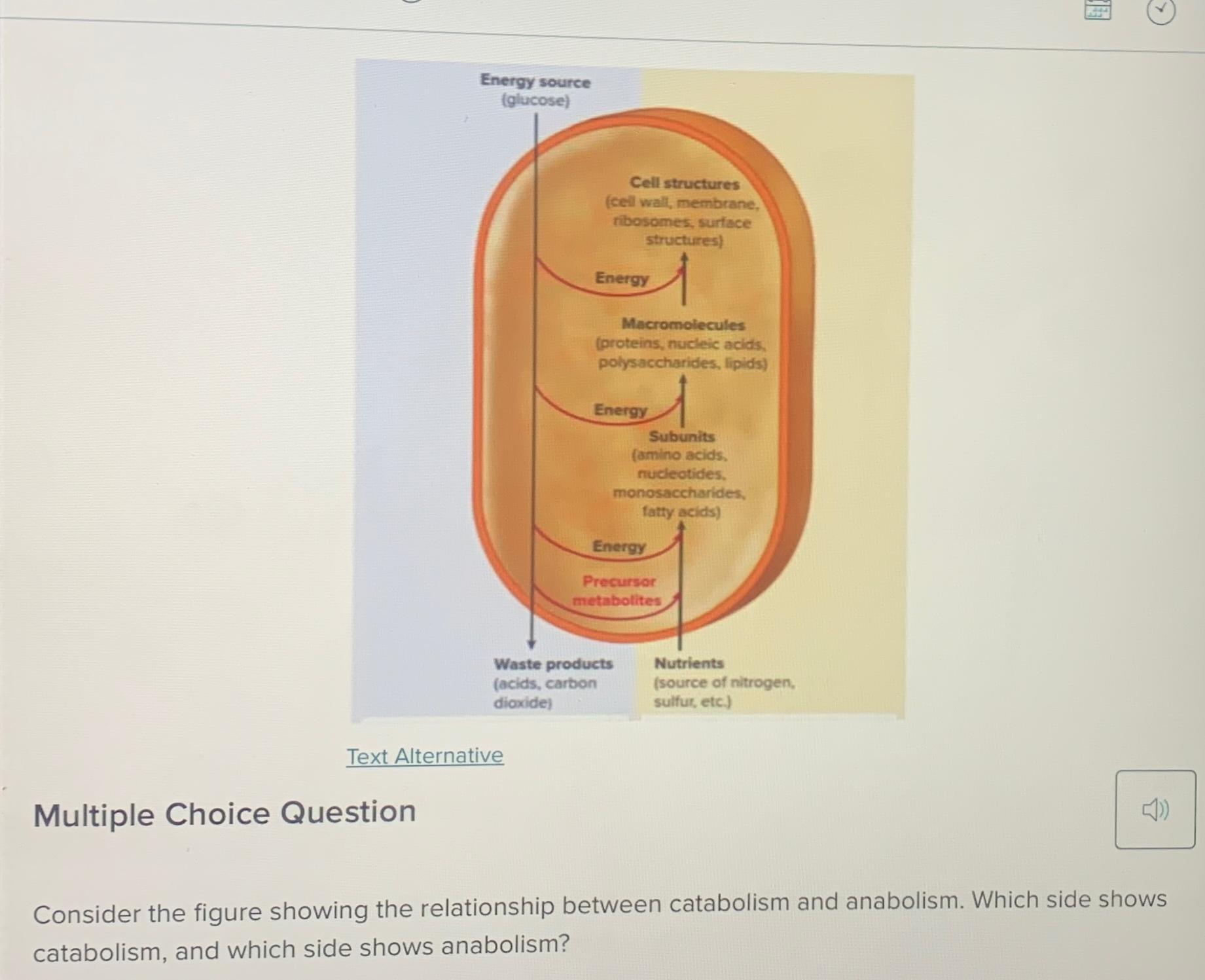 Solved Text AlternativeMultiple Choice QuestionConsider the | Chegg.com