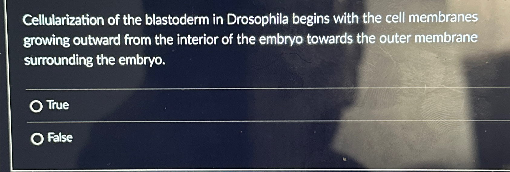 Solved Cellularization of the blastoderm in Drosophila | Chegg.com
