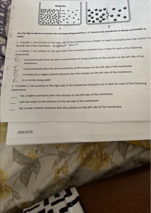 Solved Use the ficure above to answer the corresponding | Chegg.com