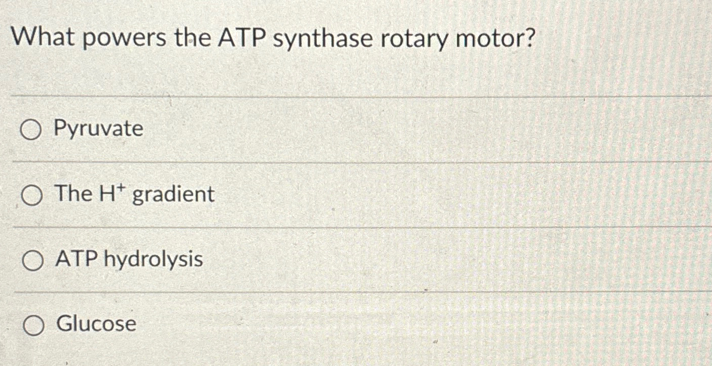 Solved What powers the ATP synthase rotary motor?PyruvateThe | Chegg.com