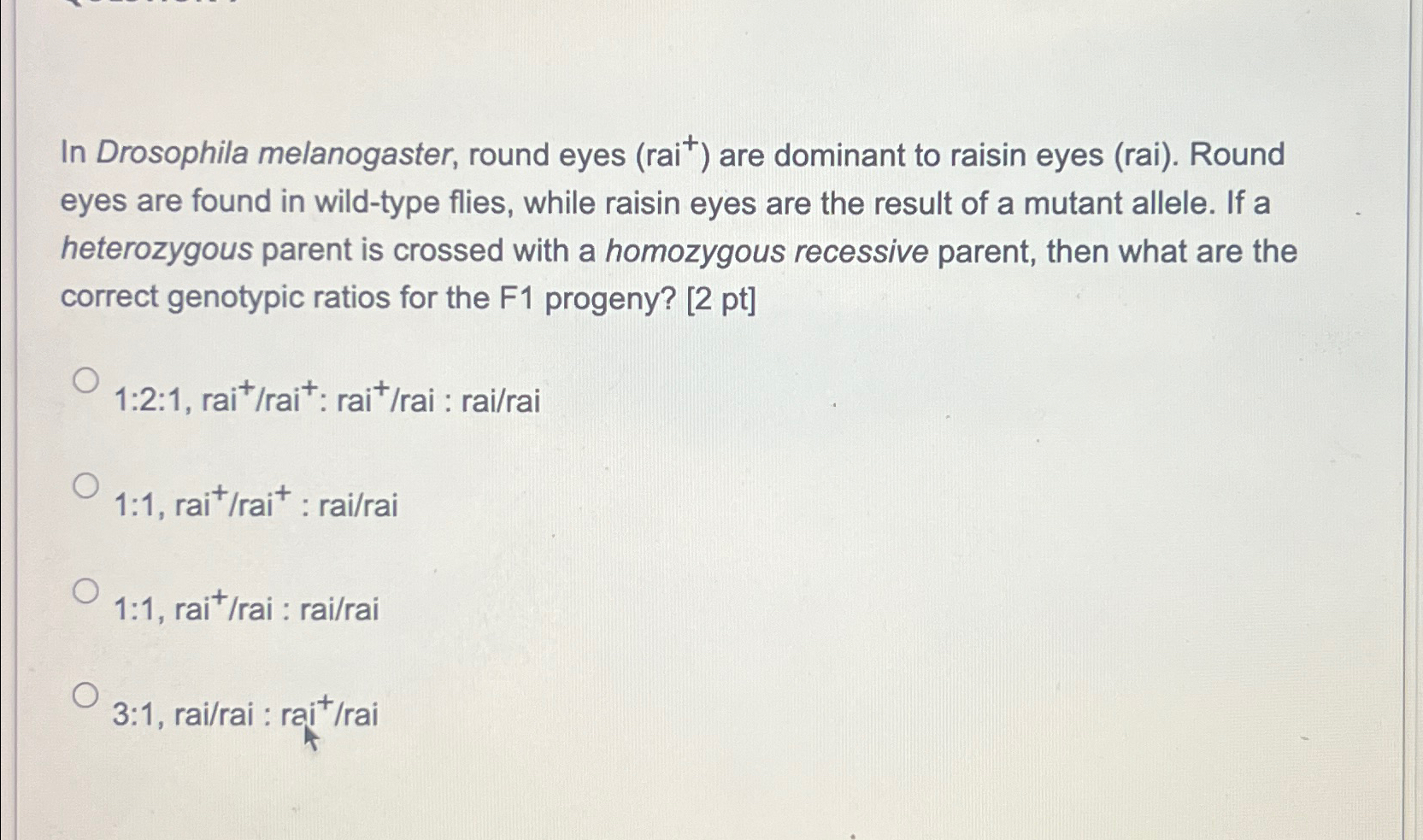 Solved In Drosophila melanogaster, round eyes ( rai+ | Chegg.com