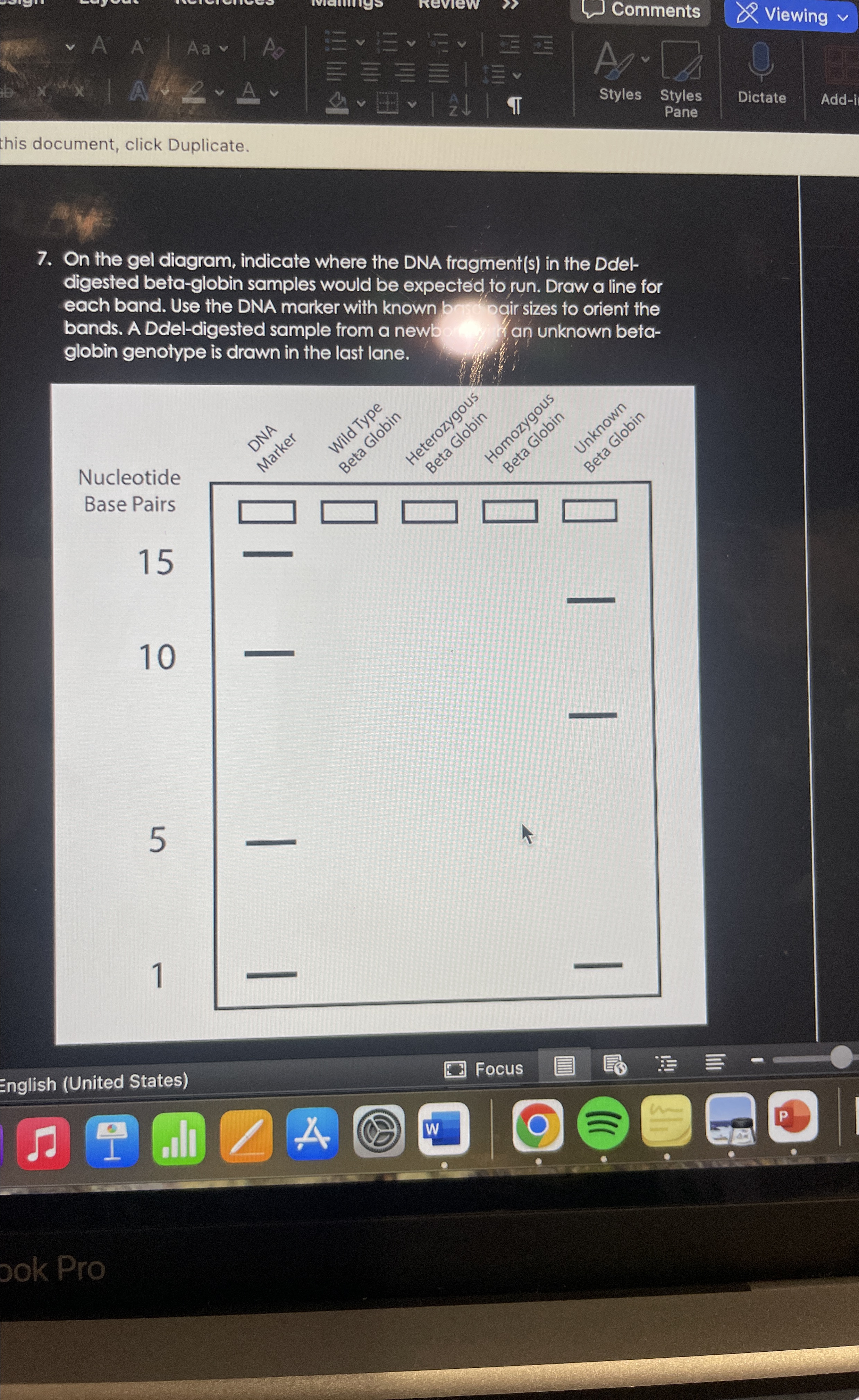 Solved On the gel diagram, indicate where the DNA | Chegg.com