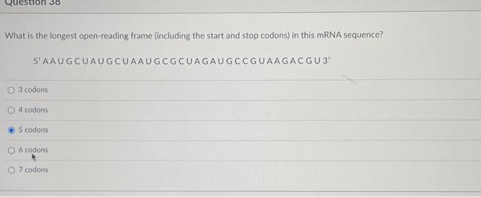 Solved What is the longest open-reading frame (including the | Chegg.com