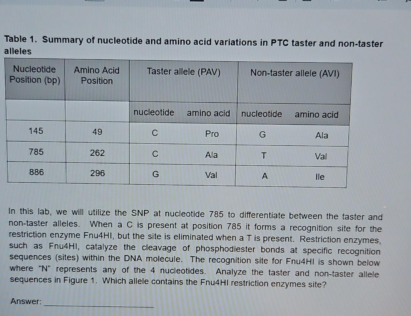 Solved Table 1. Summary of nucleotide and amino acid | Chegg.com