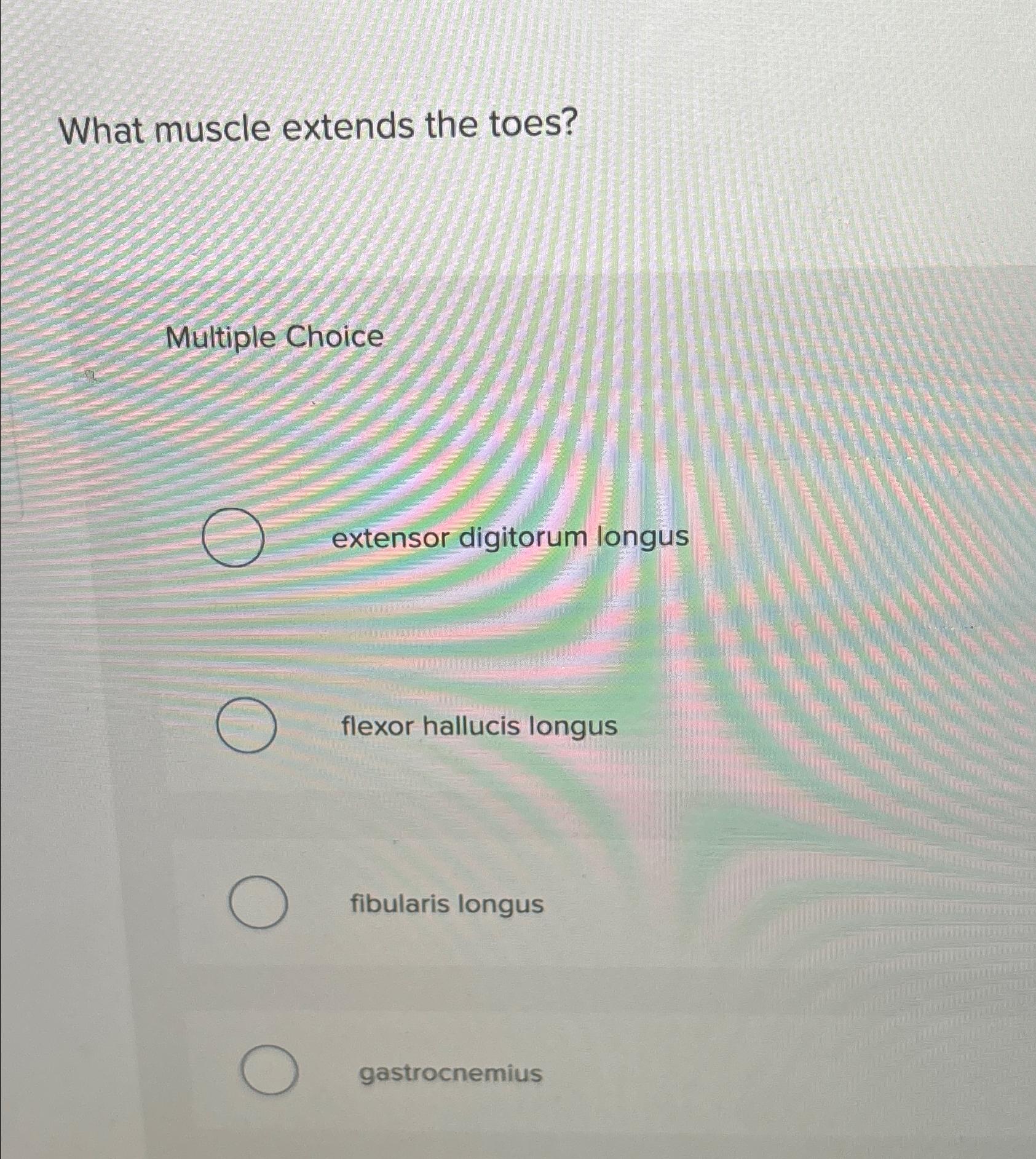 Solved What muscle extends the toes?Multiple Choiceextensor | Chegg.com