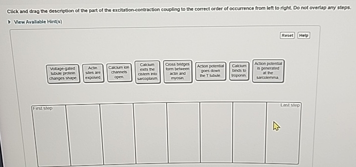 Solved Click and drag the description of the part of the | Chegg.com