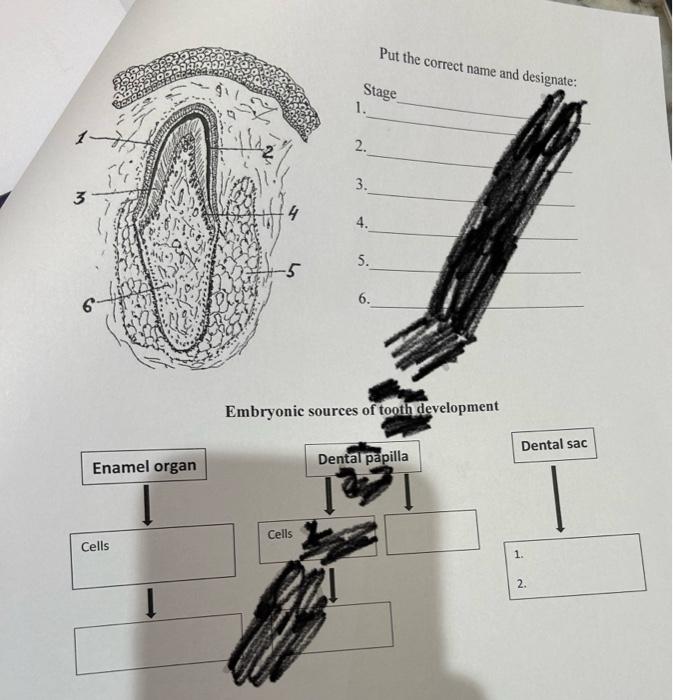 Solved The structure needs to be identified; they are | Chegg.com