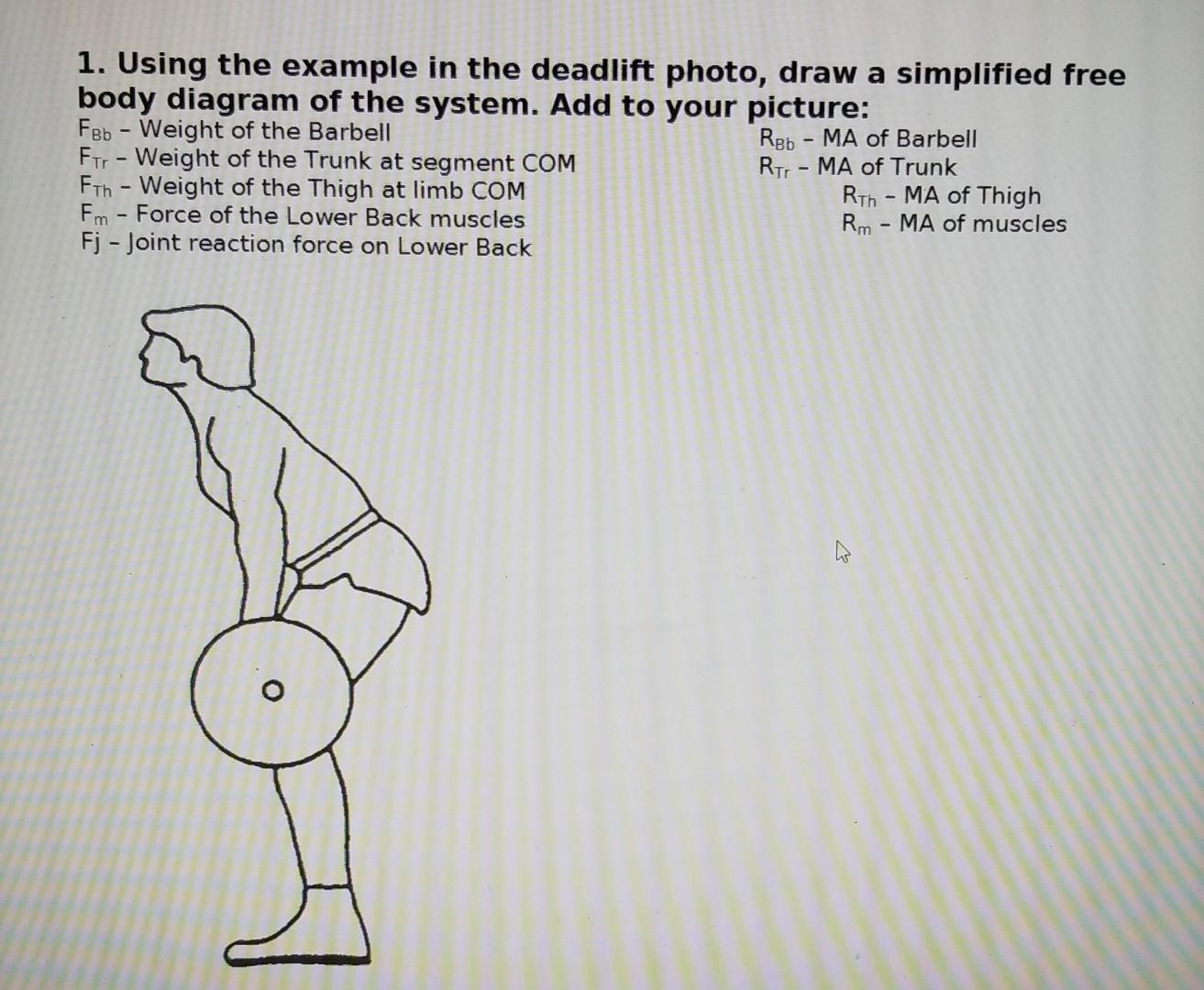 Solved 1. Using the example in the deadlift photo, draw a | Chegg.com