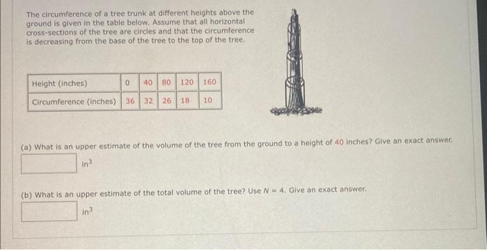 Solved The circumference of a tree trunk at different | Chegg.com