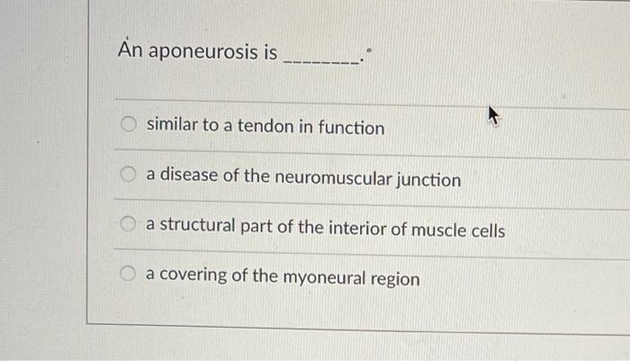 Solved An aponeurosis is similar to a tendon in function a | Chegg.com