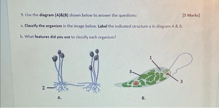 Solved 9. Use the diagram (A)&(B) shown below to answer the | Chegg.com