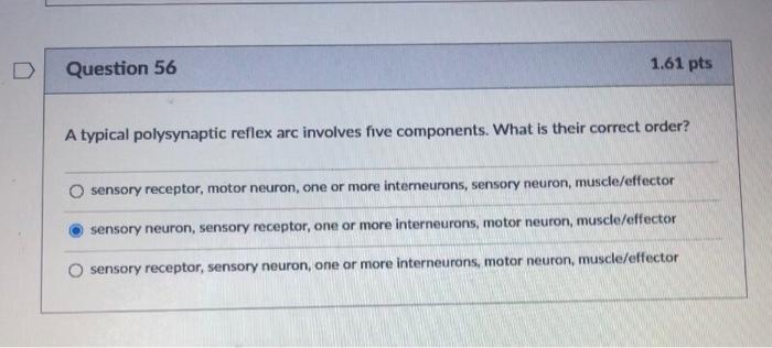 Solved Question 56 1.61 pts A typical polysynaptic reflex | Chegg.com