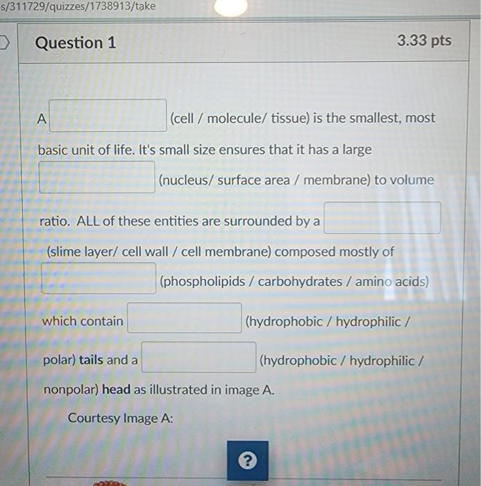 Solved A (cell / molecule/ tissue) is the smallest, most | Chegg.com