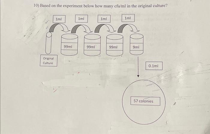 Solved 10) Based on the experiment below how many cfu/ml in | Chegg.com