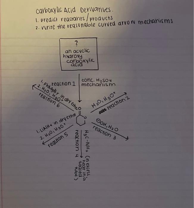 Solved carboxylic Acid Derivatives. 1. predict | Chegg.com