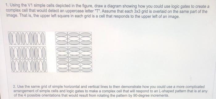 1. Using the V1 simple colls depicted in the figure, | Chegg.com