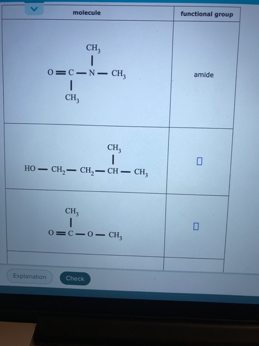 Solved molecule functional group CH, | O=C-N- CH3 amide CH | Chegg.com