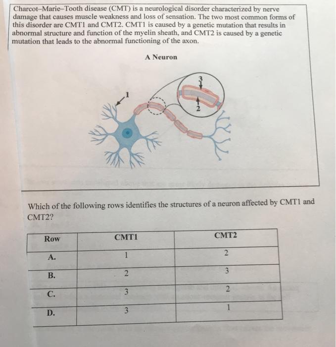 Solved Charcot-Marie-Tooth disease (CMT) is a neurological | Chegg.com