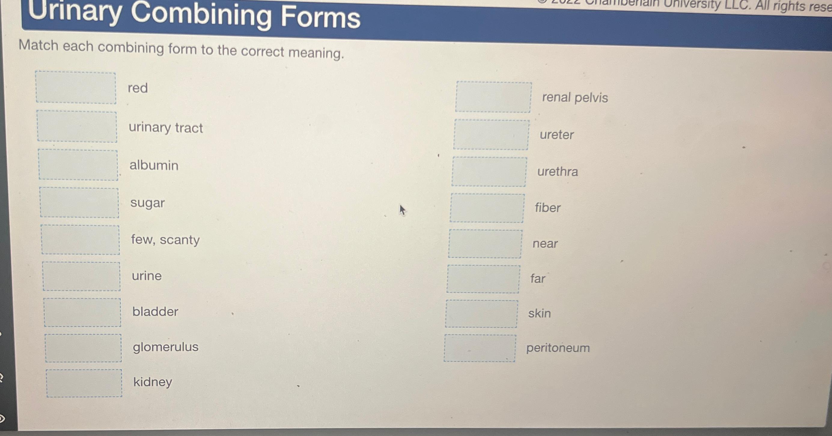 Solved Urinary Combining FormsMatch each combining form to | Chegg.com