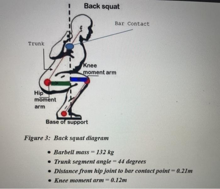 Solved Back squat Bar Contact Trunk Knee moment arm Hip | Chegg.com