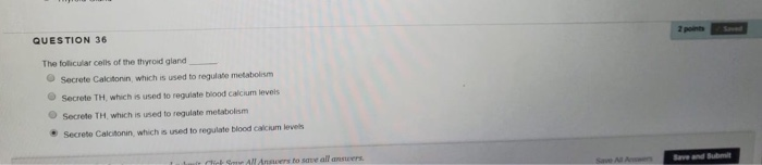 Solved QUESTION 17 2 points Swed A gland is chronically | Chegg.com