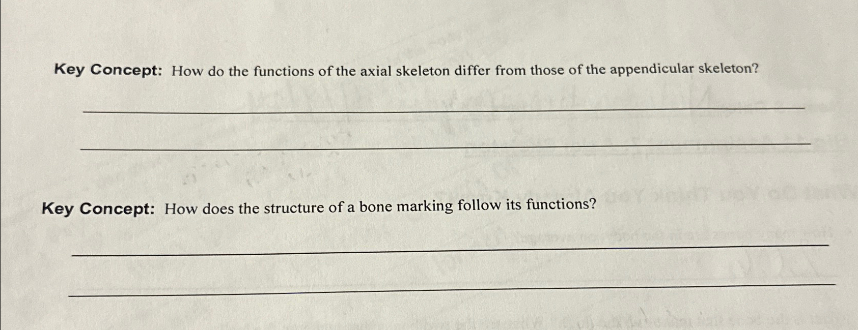 Solved Key Concept: How do the functions of the axial | Chegg.com