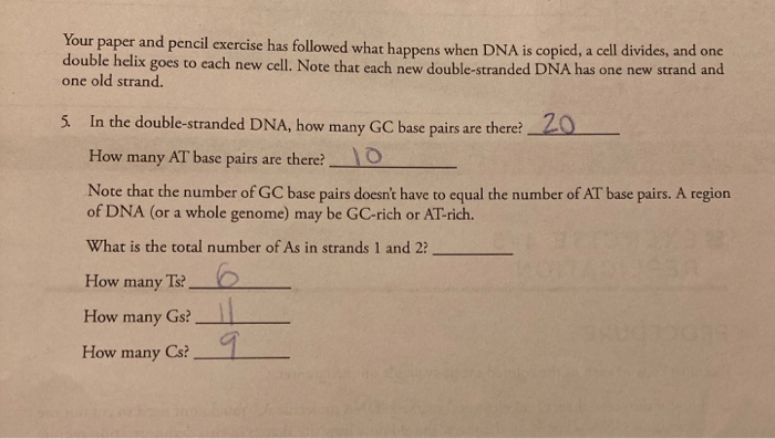 Solved 1. 2 PROCEDURE Pick up a copy of each of the colored | Chegg.com
