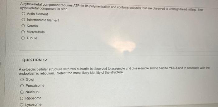 Solved A cytoskeletal component requires ATP for its | Chegg.com