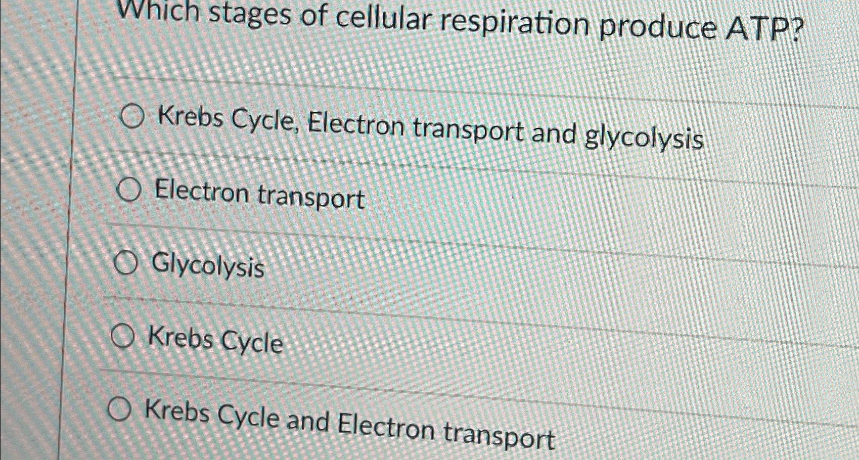Solved Which stages of cellular respiration produce | Chegg.com