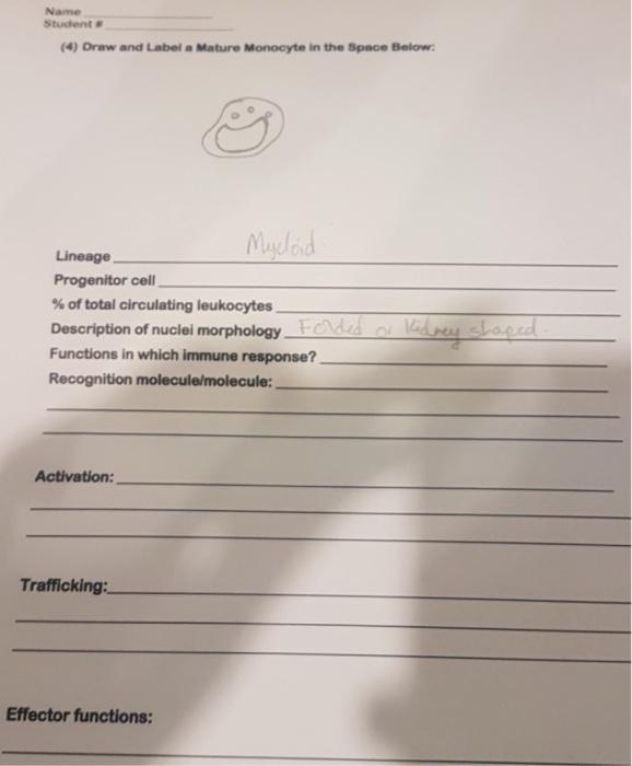 Solved (4) Draw and Label a Mature Monocyte in the Space | Chegg.com