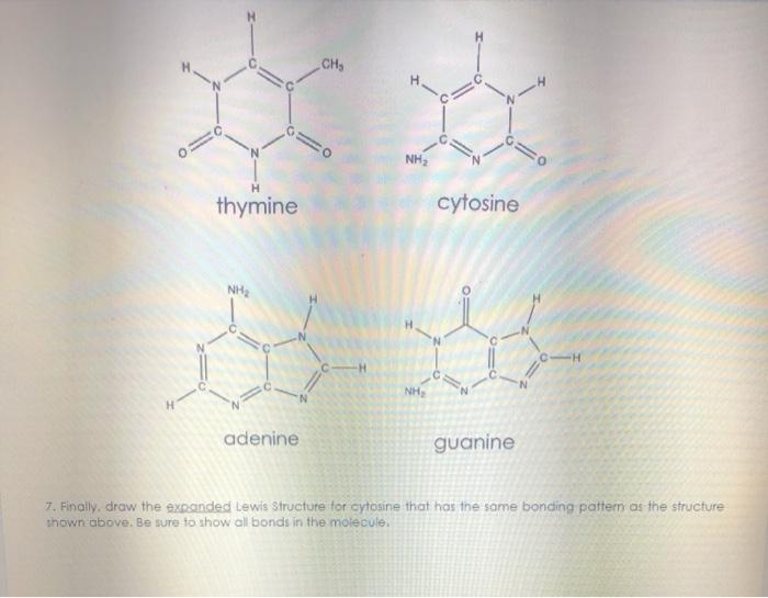 Solved EPIGENETICS: INVESTIGATING THE STRUCTURE AND FUNCTION | Chegg.com