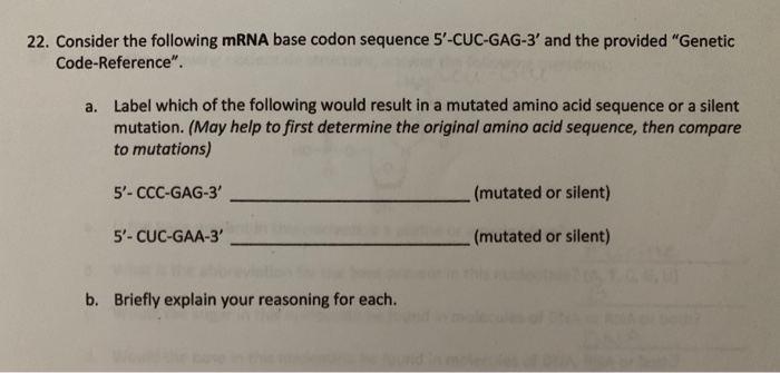 Solved 22. Consider the following mRNA base codon sequence | Chegg.com