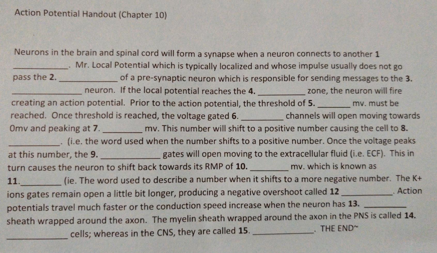 Solved Action Potential Handout (Chapter 10) Neurons in the | Chegg.com
