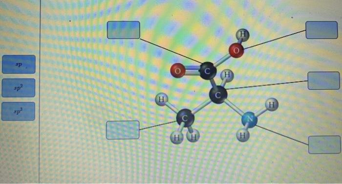 Solved consider the structure of the amino acid alanine. | Chegg.com