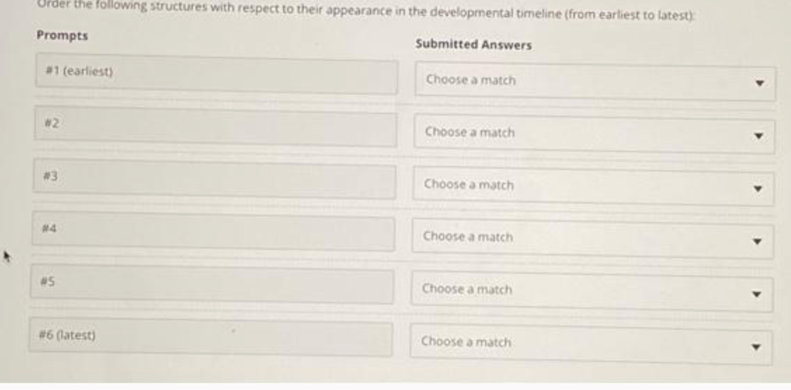 Solved Order the following structures with respect to their | Chegg.com