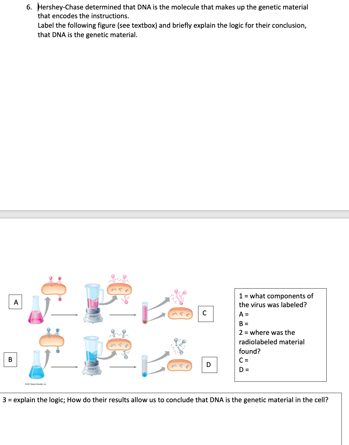 Solved Hershey-Chase determined that DNA is the molecule | Chegg.com