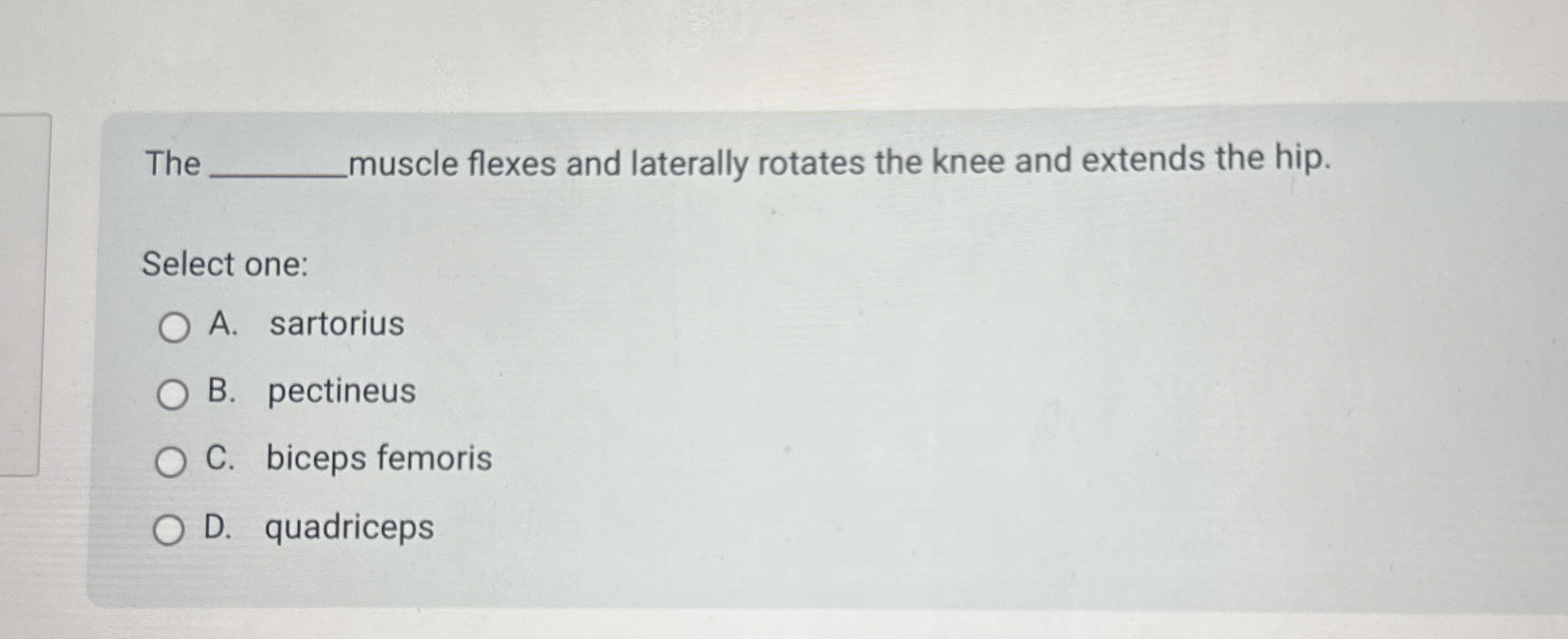 Solved The q, ﻿muscle flexes and laterally rotates the knee | Chegg.com