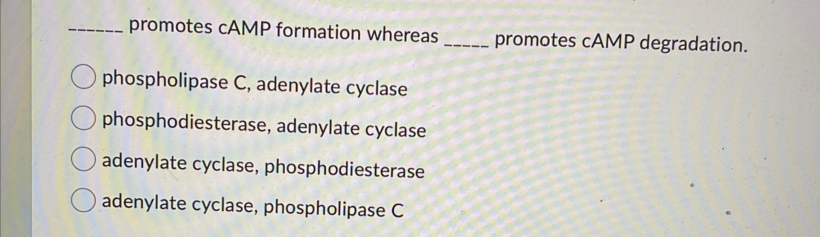 Solved promotes cAMP formation whereas promotes cAMP | Chegg.com
