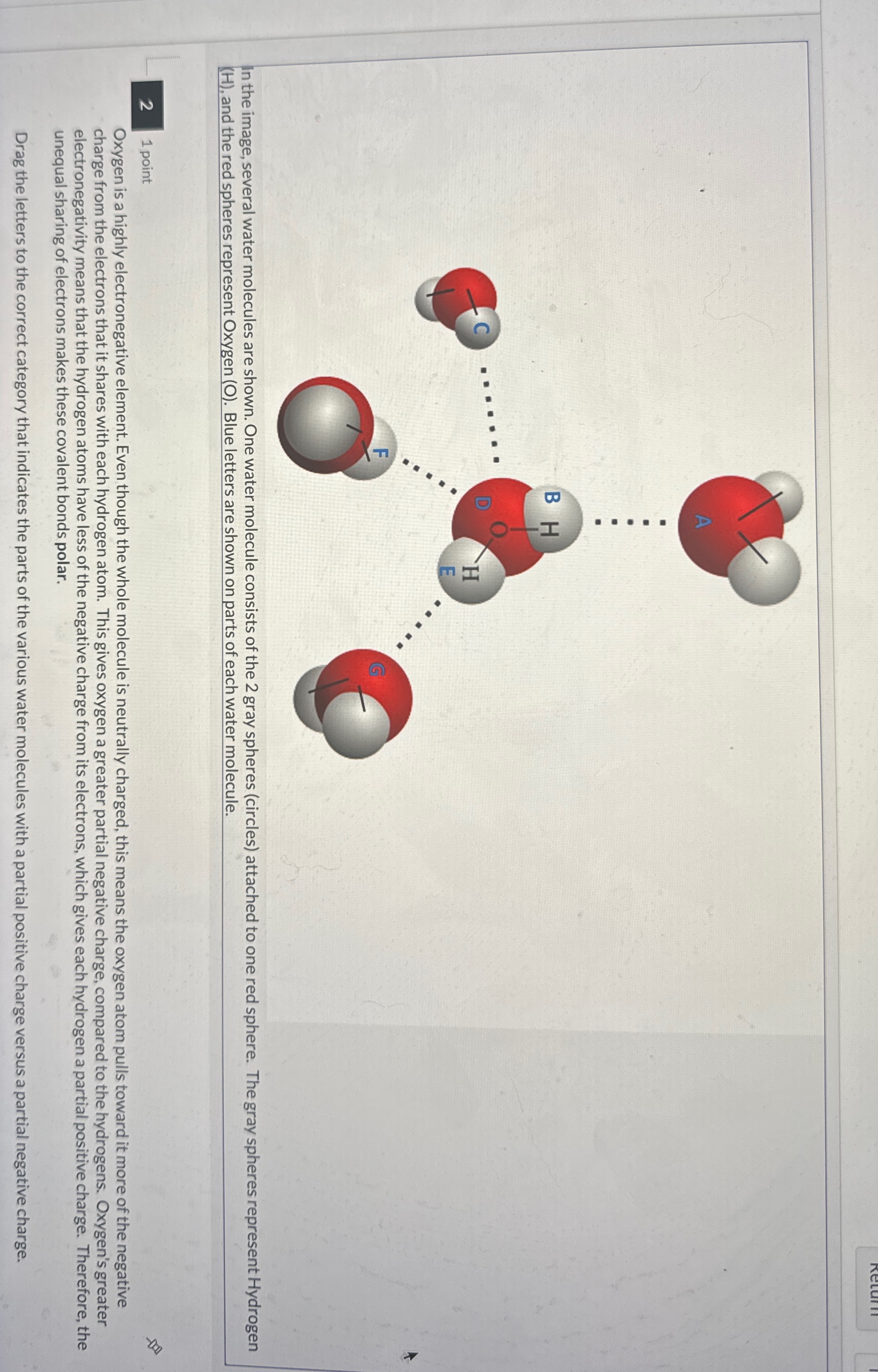 Solved In the image, several water molecules are shown. One | Chegg.com