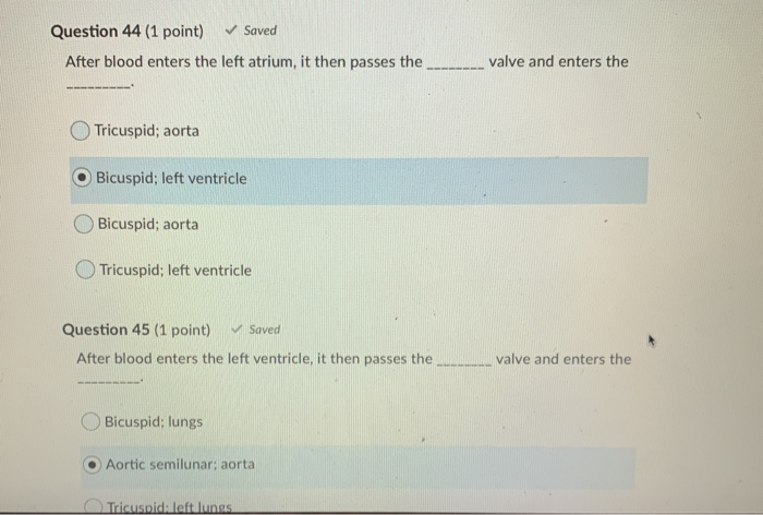Solved Question 42 (1 point) Saved After blood enters the | Chegg.com