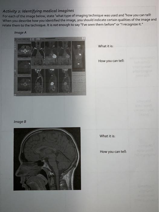 Solved Activity 2: Identifying medical imagines For each of | Chegg.com