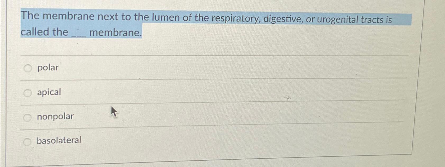 Solved The membrane next to the lumen of the respiratory, | Chegg.com