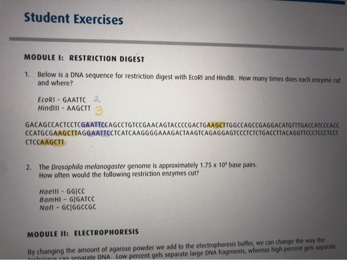 Solved Student Exercises MODULE 1: RESTRICTION DIGEST 1. | Chegg.com