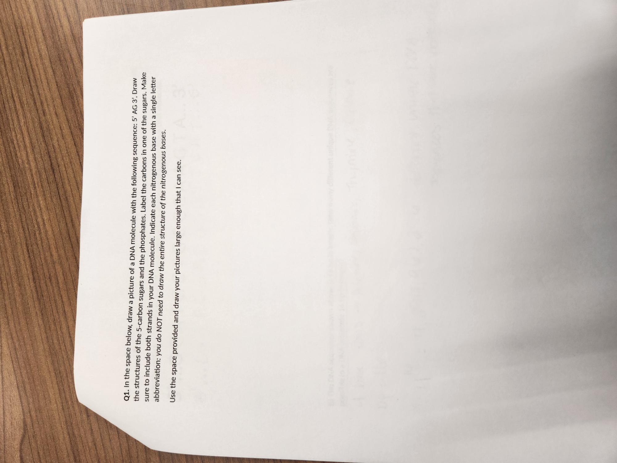 Solved Q1. ﻿In the space below, draw a picture of a DNA | Chegg.com