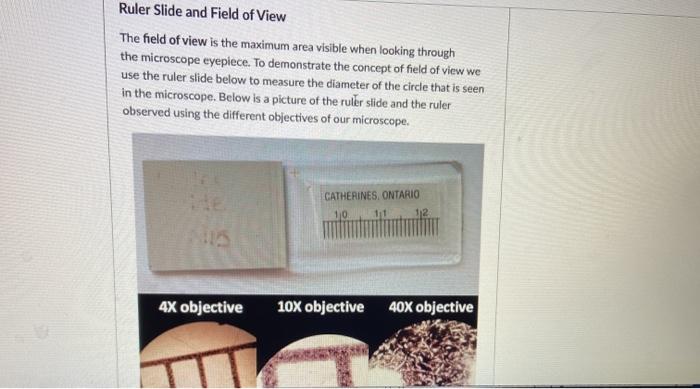 Letter "e" w.m. 29-1406 CAROLINA 4X objective 10X | Chegg.com