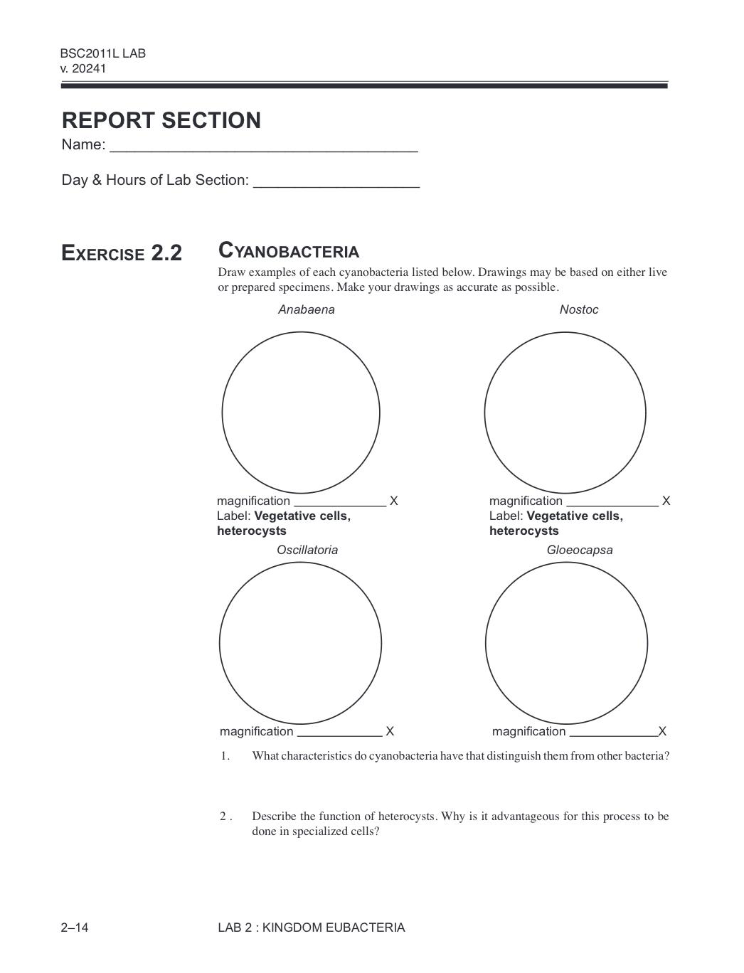 Solved BSC2011L LABv. 20241REPORT SECTIONName:Day & Hours of | Chegg.com