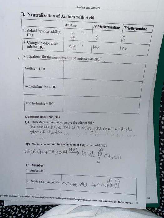 Solved Amines and Amides B. Neutralization of Amines with | Chegg.com